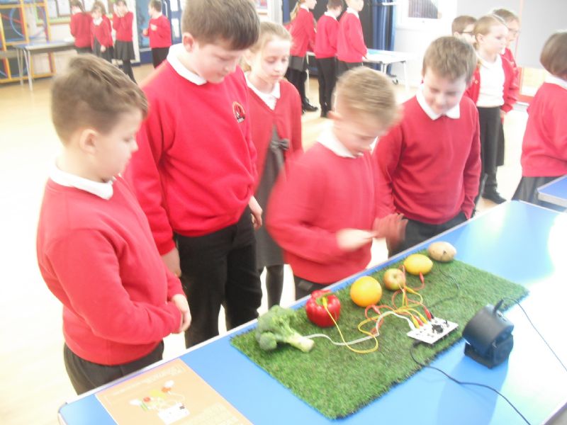 St Andrews Primary School - Year 4